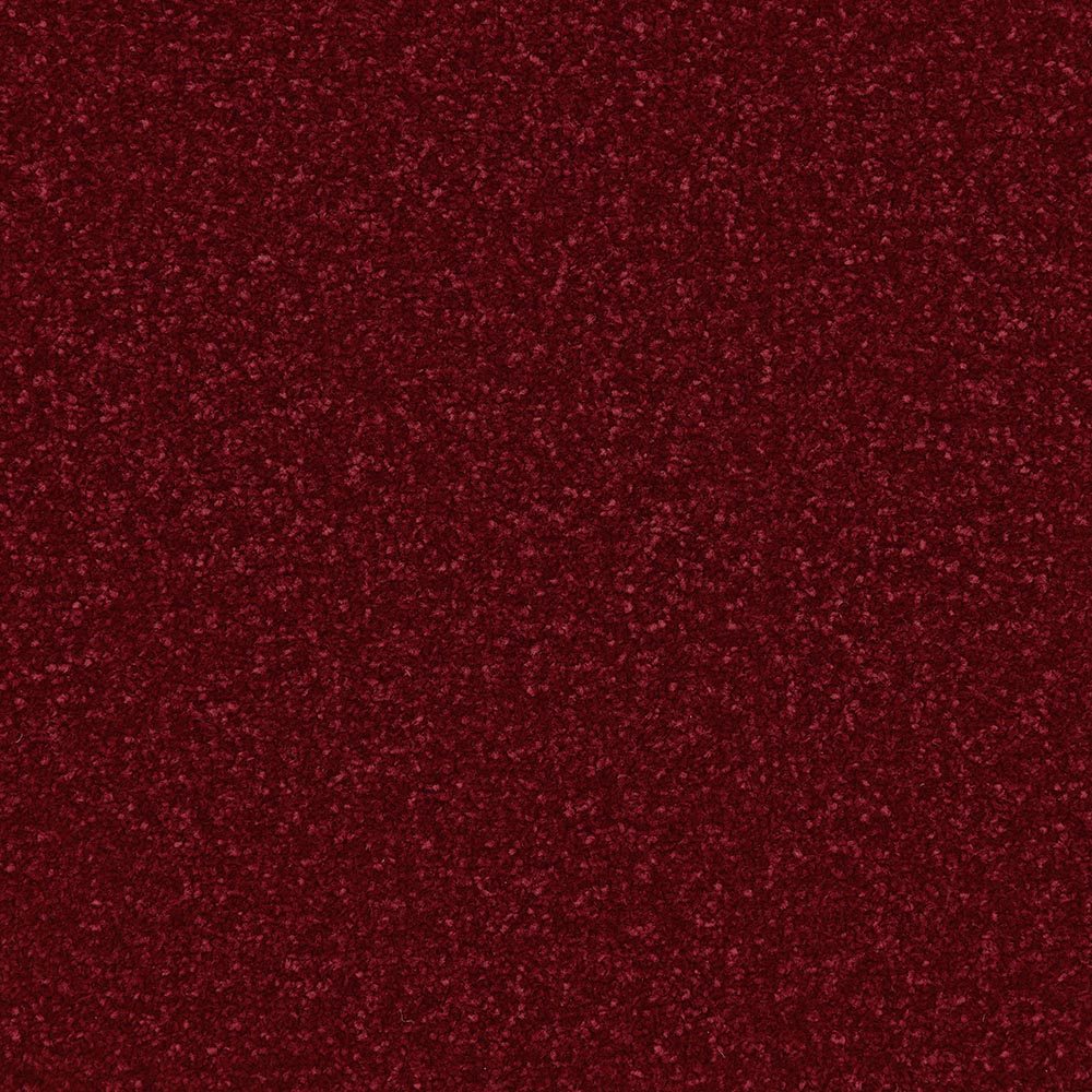 Apollo Plus Carpet | Buy Apollo Plus Carpets Online | Online Carpets