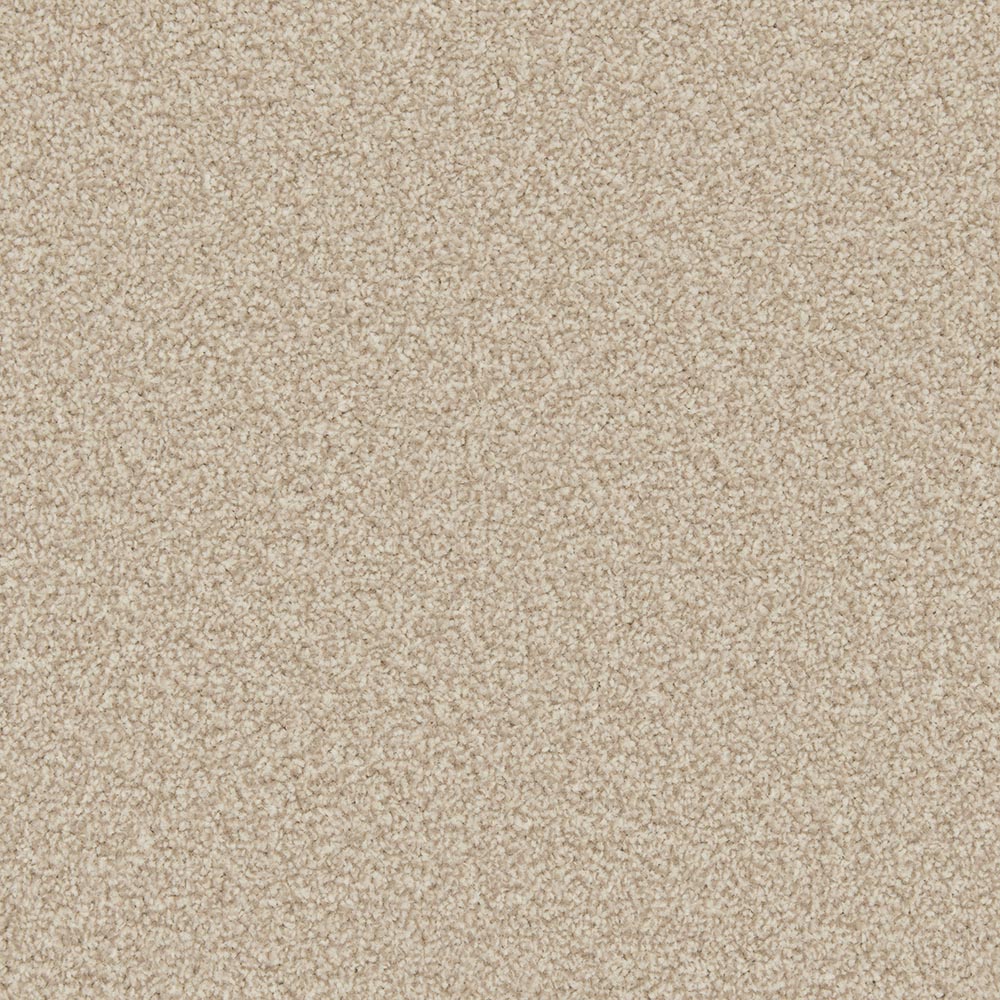 Apollo Plus Carpet | Buy Apollo Plus Carpets Online | Online Carpets