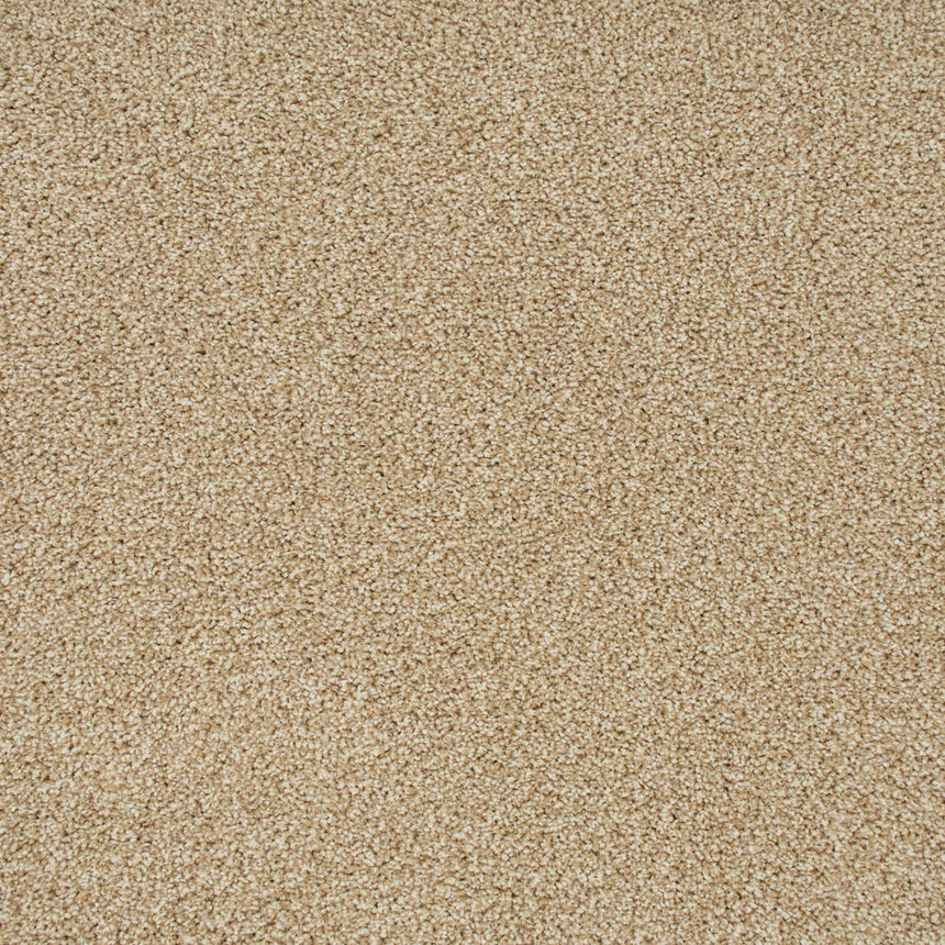 Autumn Mist 04 StainAway Harvest Heathers Deluxe Carpet | Buy ...