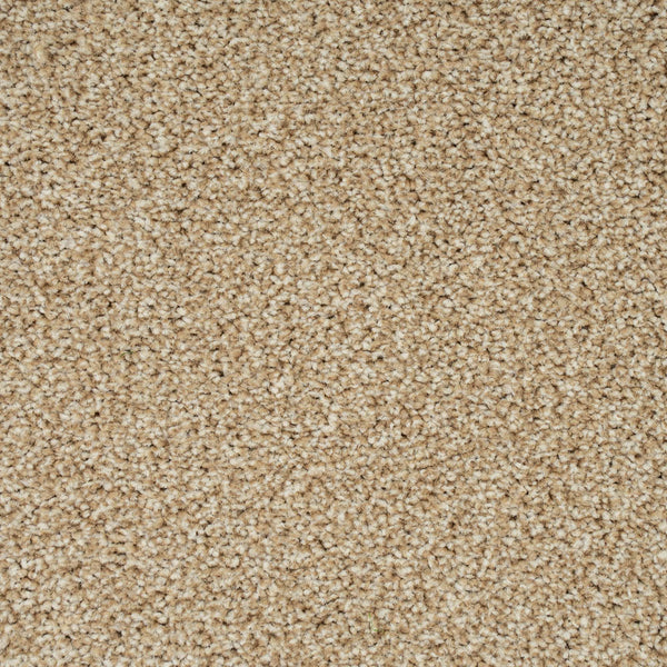 Autumn Mist 04 StainAway Harvest Heathers Deluxe Carpet | Buy ...