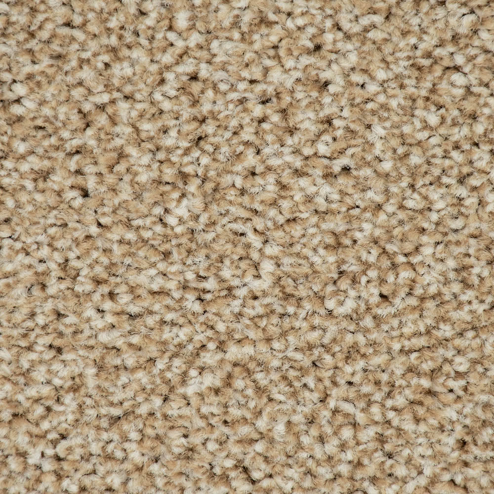 Autumn Mist 04 StainAway Harvest Heathers Deluxe Carpet | Buy ...