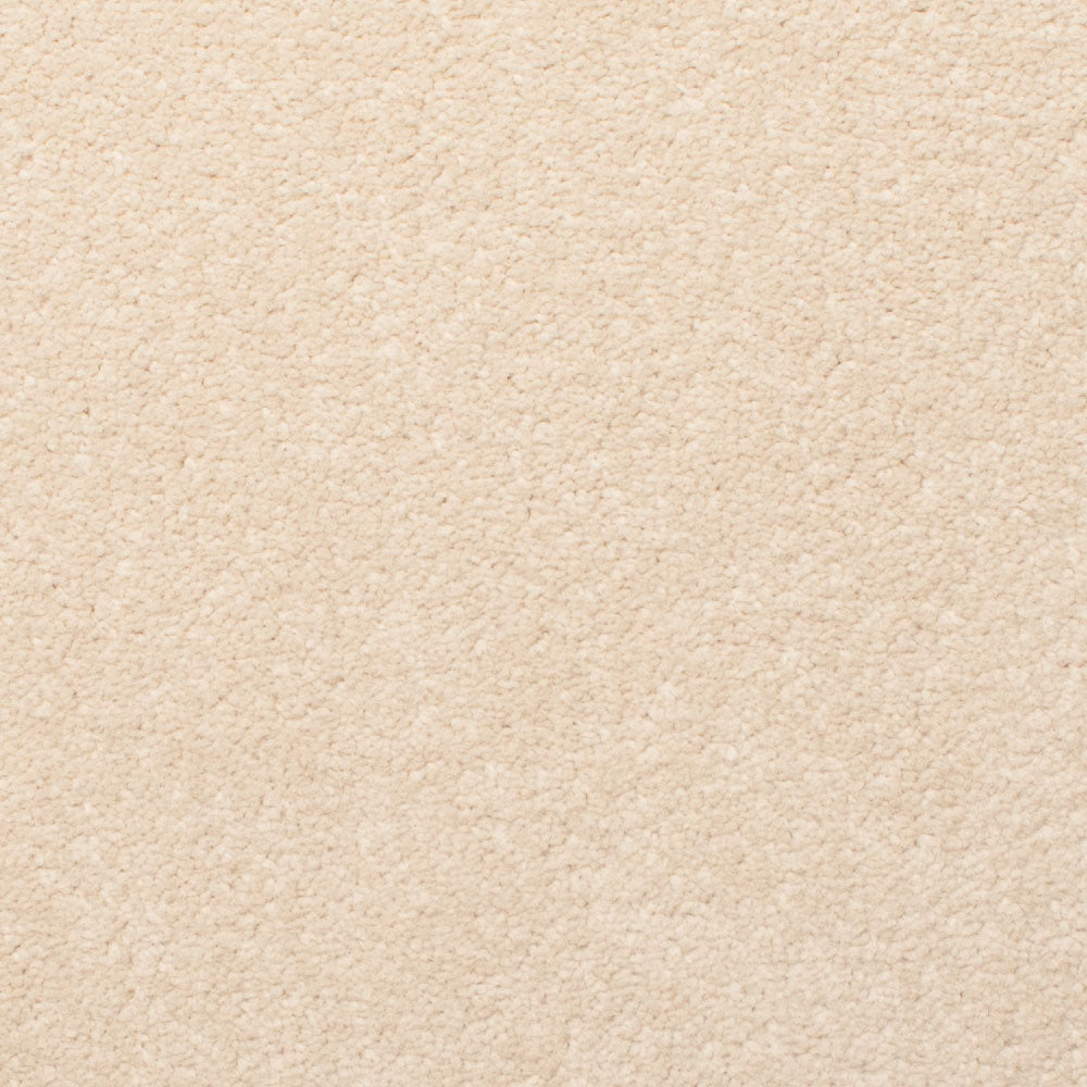 Cream Carpet Texture JONATHAN Y Mercer Shag Plush 5 X 8 (ft) Cream