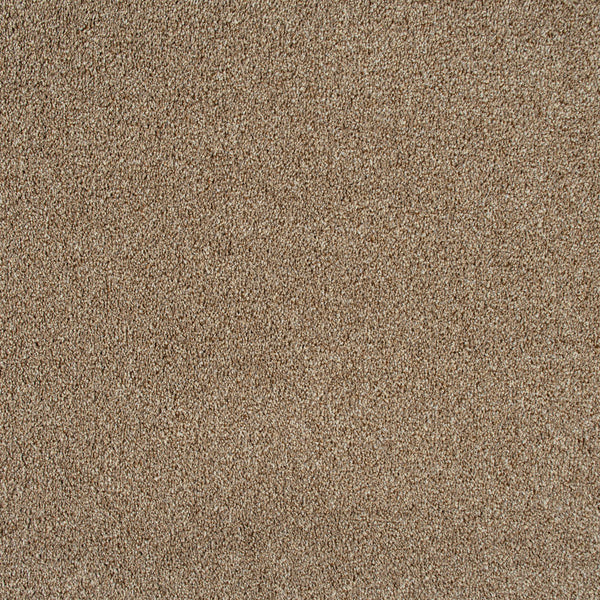 Mocha 933 Imagination Twist Carpet | Buy Imagination Twist Carpet ...