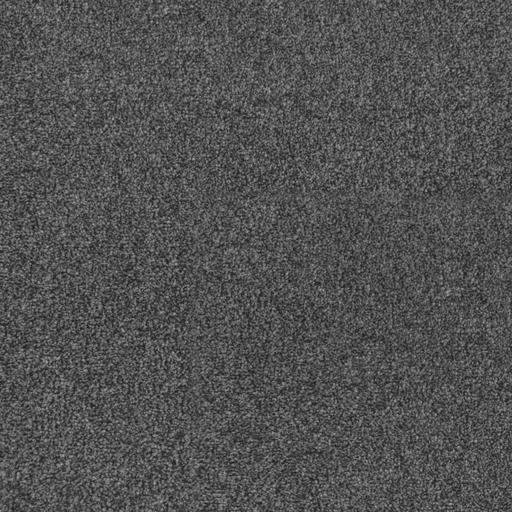 Nigella Apollo Plus Carpet | Buy Apollo Plus Carpets Online ...