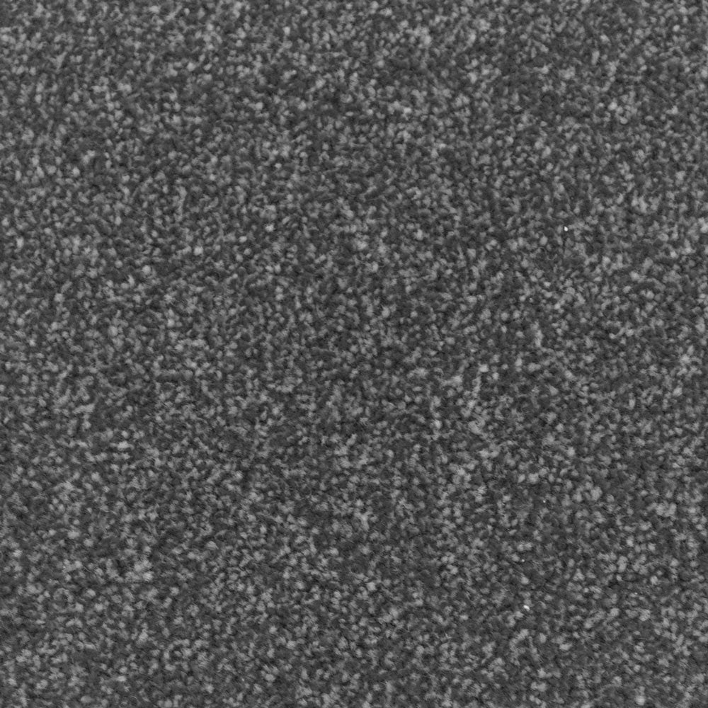 Nigella Apollo Plus Carpet | Buy Apollo Plus Carpets Online ...