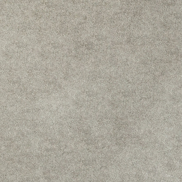 Mocca 45 iSense Obsession Carpet | Buy Associated Weavers Carpets ...
