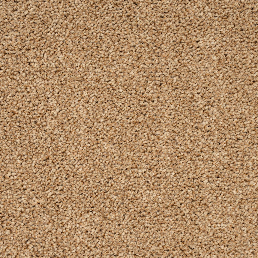 Oatmeal 33 StainAway Harvest Heathers Deluxe Carpet | Buy Associated ...