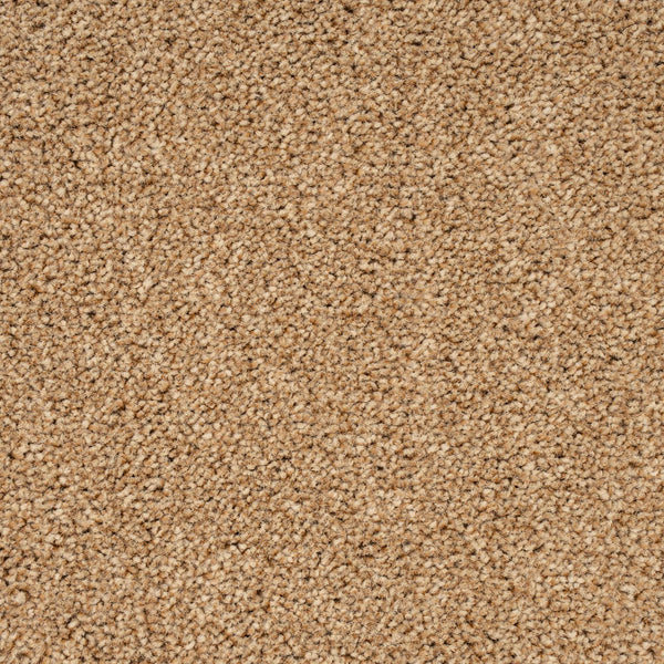 Oatmeal 33 StainAway Harvest Heathers Deluxe Carpet | Buy Associated ...