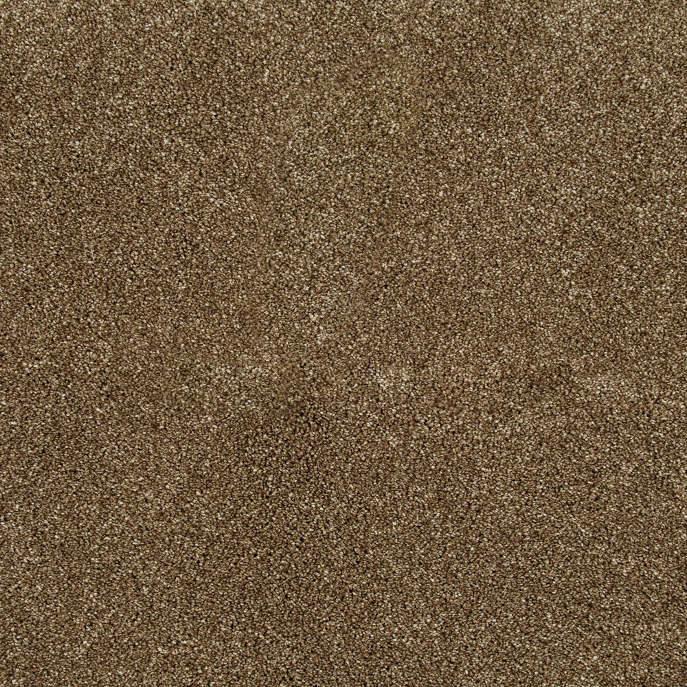 Reed Beige Temptation Carpet | Buy Associated Weavers Carpet ...