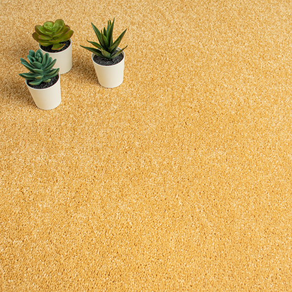 Sunshine Yellow Carousel Twist Carpet | Twist Carpets | Online Carpets