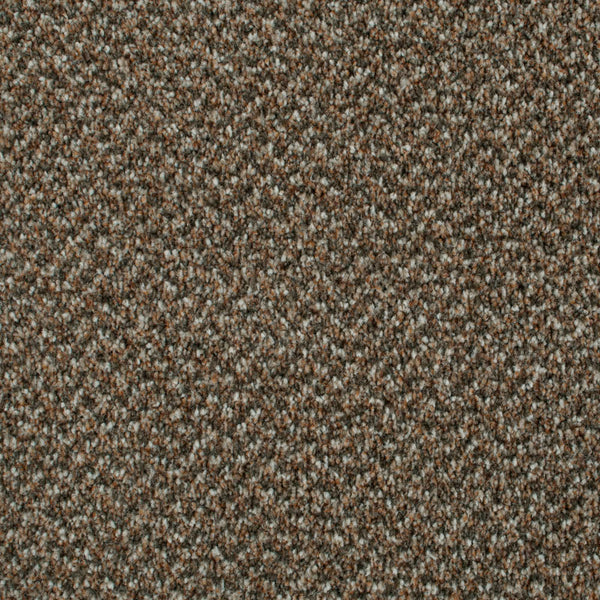 Stainaway Tweed Carpet | Buy Stainaway Tweed Carpets Online ...