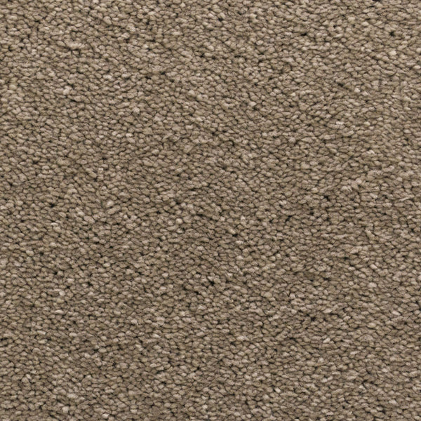 Mink Brown 67 Affluent Carpet | Buy Affluent Carpets Online ...