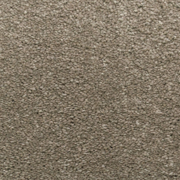Limestone 68 Affluent Carpet | Buy Affluent Carpets Online ...