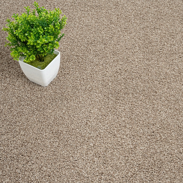 Beige Avalon Saxony Actionback Carpet | Budget Saxony | Online Carpets