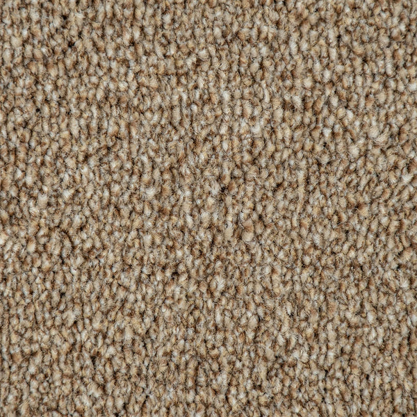 Beige Indiana Saxony Carpet | Buy Indiana Saxony Carpet Online ...