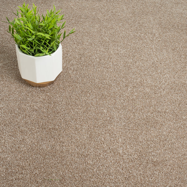 Beige Star Twist Carpet | Buy Feltback Carpets Online | Online Carpets
