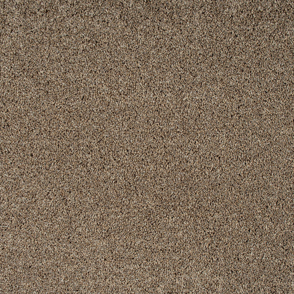 StainGuard Harvest Heathers Supreme | Buy Associated Weavers Carpets ...