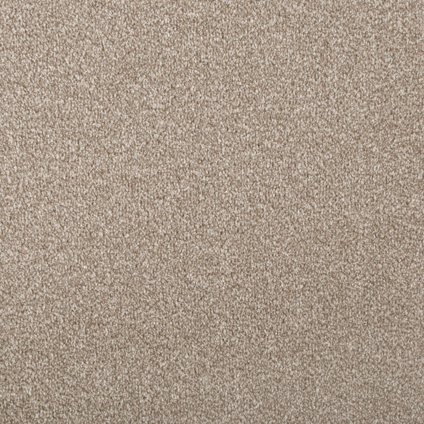 Burly Wood Apollo Plus Carpet | Buy Apollo Plus Carpets Online ...