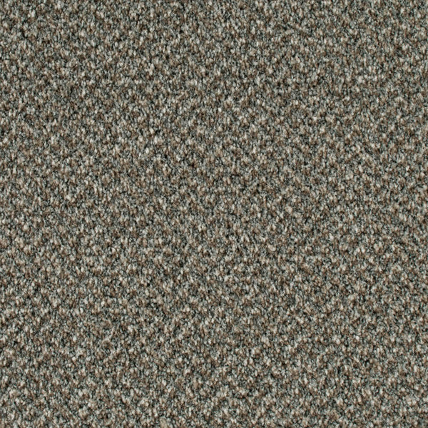 Stainaway Tweed Carpet | Buy Stainaway Tweed Carpets Online ...