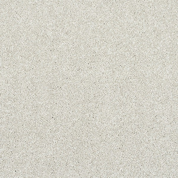 Champagne Stainfree Caress Carpet | Abingdon Carpets | Online Carpets