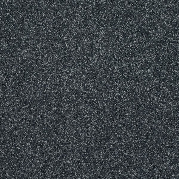 Ebony Stainfree Caress Carpet | Abingdon Carpets | Online Carpets