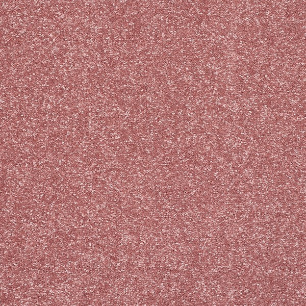 Pink Whisper Stainfree Caress Carpet | Abingdon | Online Carpets