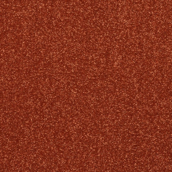 Terracotta Stainfree Caress Carpet | Abingdon Carpets | Online Carpets
