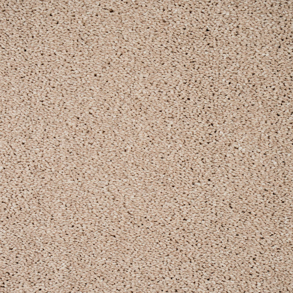 Carnation 38 Orion 50oz Invictus Carpet | Buy Invictus Carpets Online ...