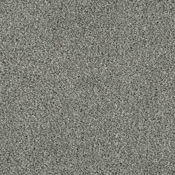 Cassius 70oz Invictus Carpet | Buy Associated Weavers Invictus Carpets ...