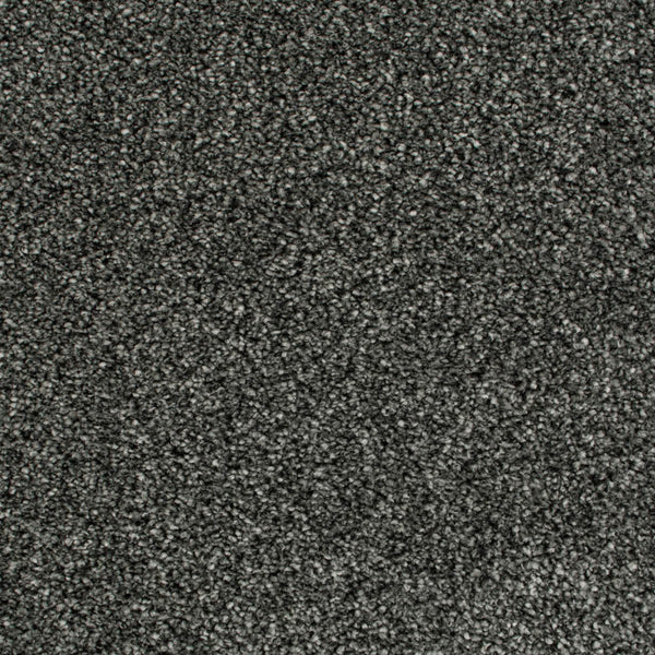 Cassius 70oz Invictus Carpet | Buy Associated Weavers Invictus Carpets ...