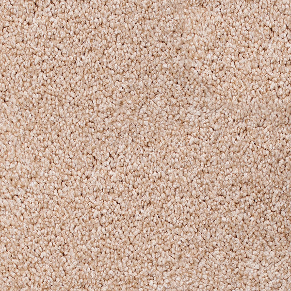 Champagne 630 Grand National Carpet | Buy Grand National Carpets Online ...
