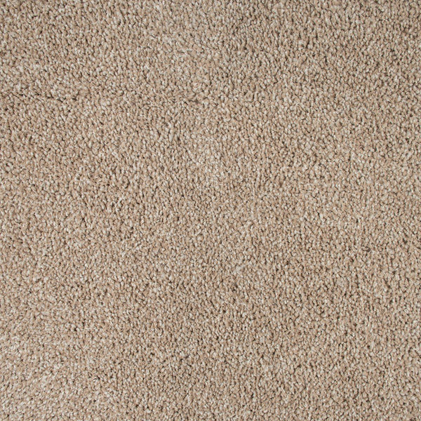 Champagne Flagship Saxony Carpet | Buy Saxony Carpets Online ...