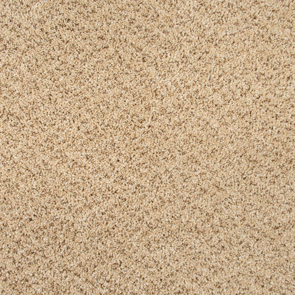 Champagne Highlife Stainfree Carpet | Buy Abingdon Highlife Carpet ...