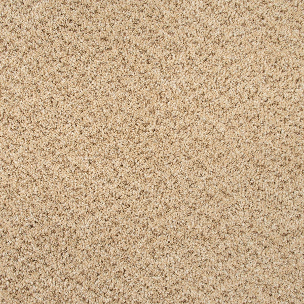 Champagne Highlife Stainfree Carpet | Buy Abingdon Highlife Carpet ...