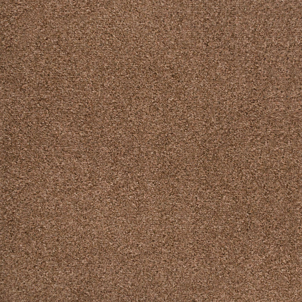 Easy Living Carpet | Buy Easy Living Carpets Online | OnlineCarpets.co.uk