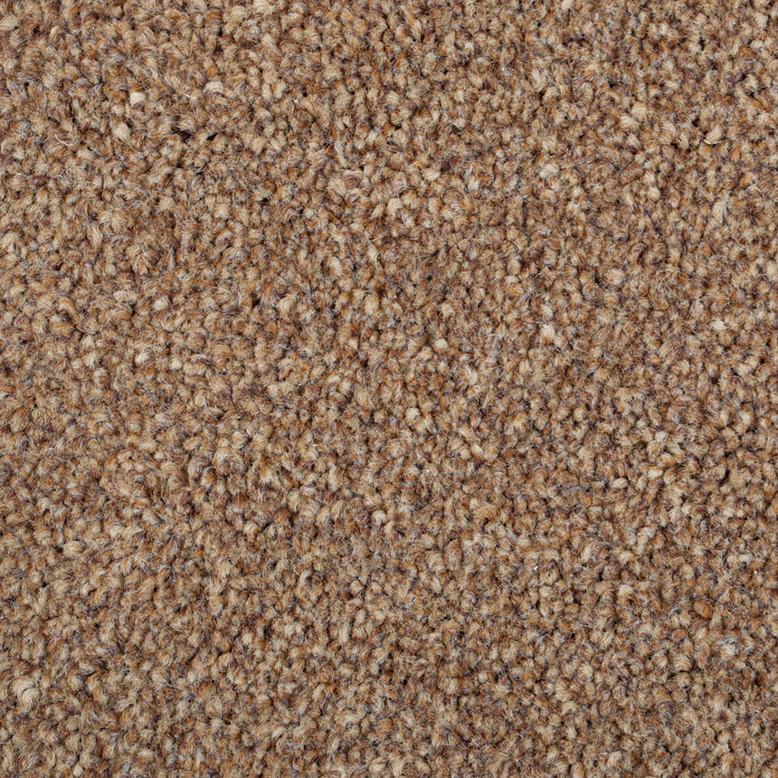Chocolate StainFree Panache Carpet | Buy StainFree Panache at Carpet ...