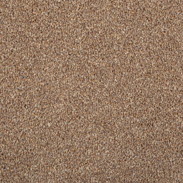 Chocolate StainFree Panache Carpet | Buy StainFree Panache at Carpet ...