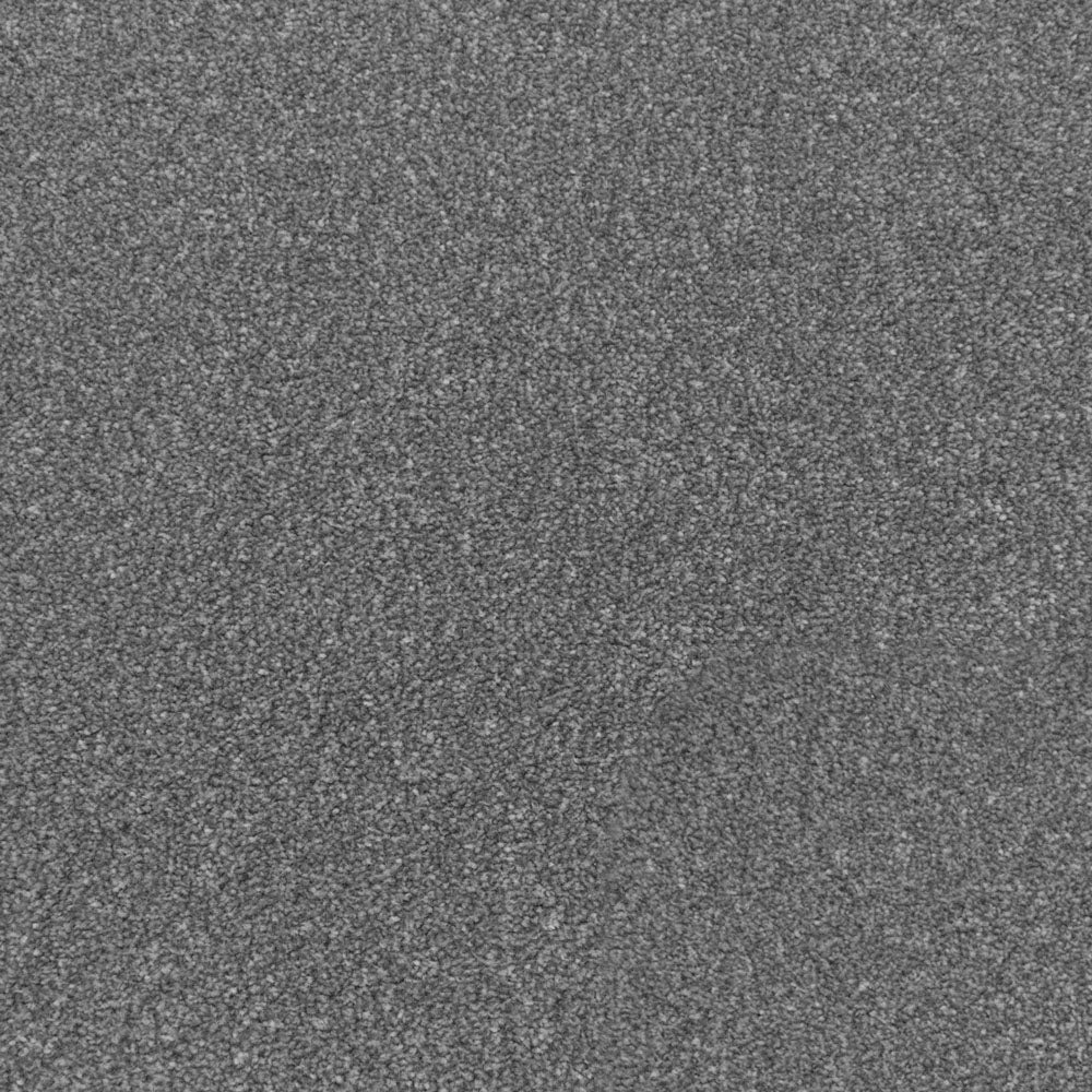 Cinder Grey Apollo Plus Carpet | Buy Apollo Plus Carpets Online ...