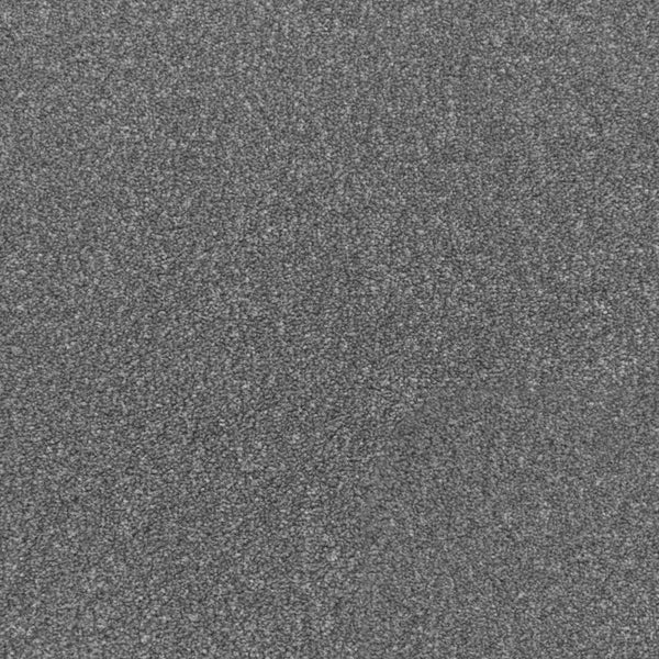 Cinder Grey Apollo Plus Carpet | Buy Apollo Plus Carpets Online ...