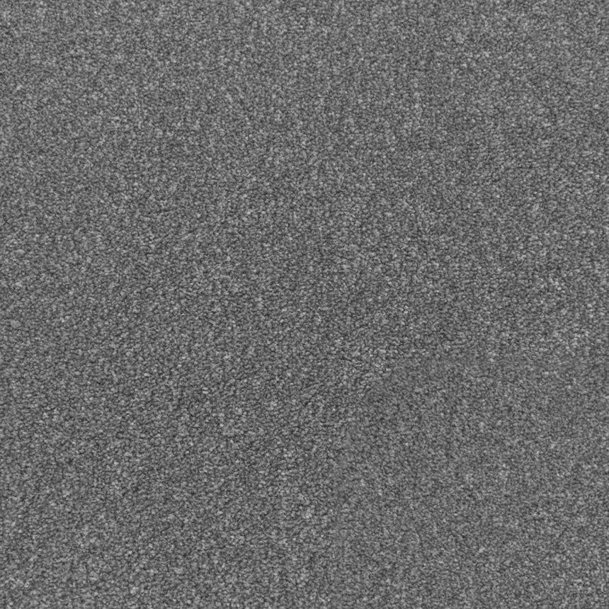 Cinder Grey Apollo Plus Carpet | Buy Apollo Plus Carpets Online ...