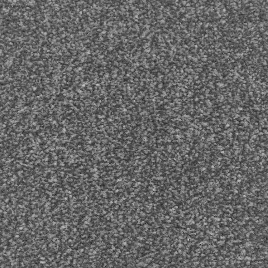 Cinder Grey Apollo Plus Carpet | Buy Apollo Plus Carpets Online ...