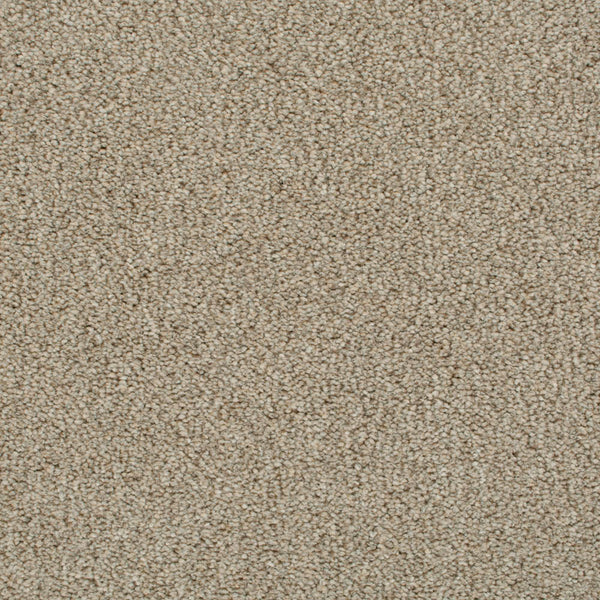 Darius 50oz Invictus Carpet | Buy Associated Weavers Invictus Carpets ...