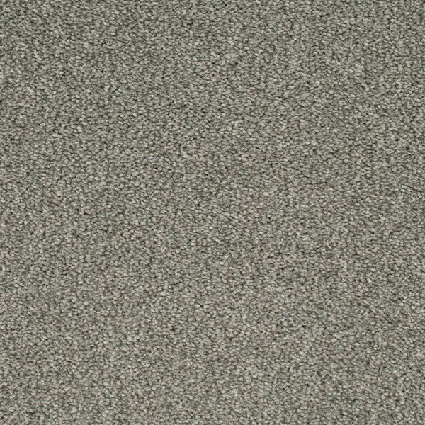 Darius 50oz Invictus Carpet | Buy Associated Weavers Invictus Carpets ...