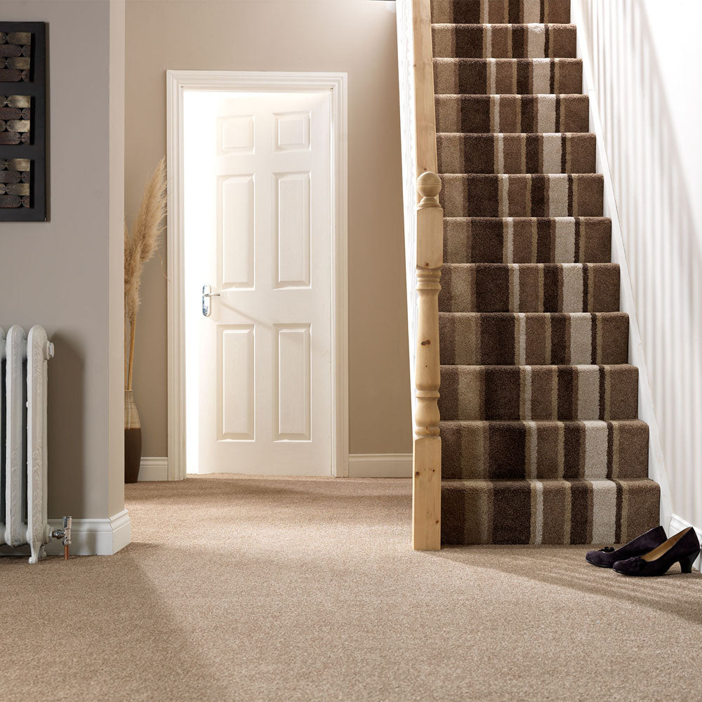 Charm Saxony Carpet | Buy Deep Pile Carpets Online | OnlineCarpets.co ...