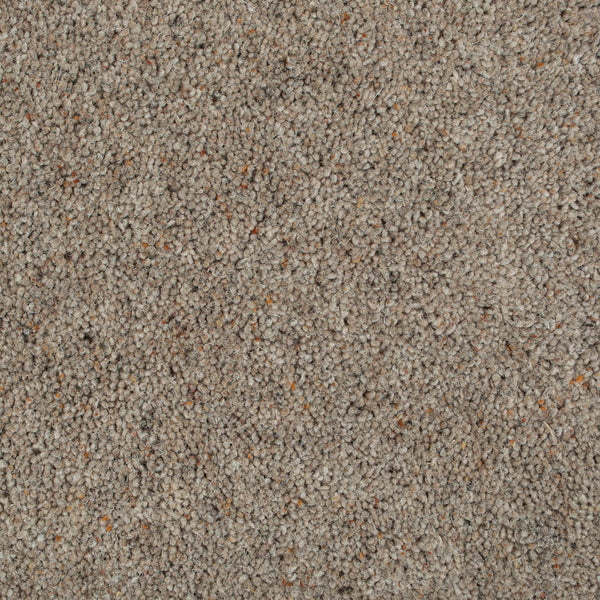 Brown Carpet | Light, Dark & Chocolate Brown Carpets | Online Carpets