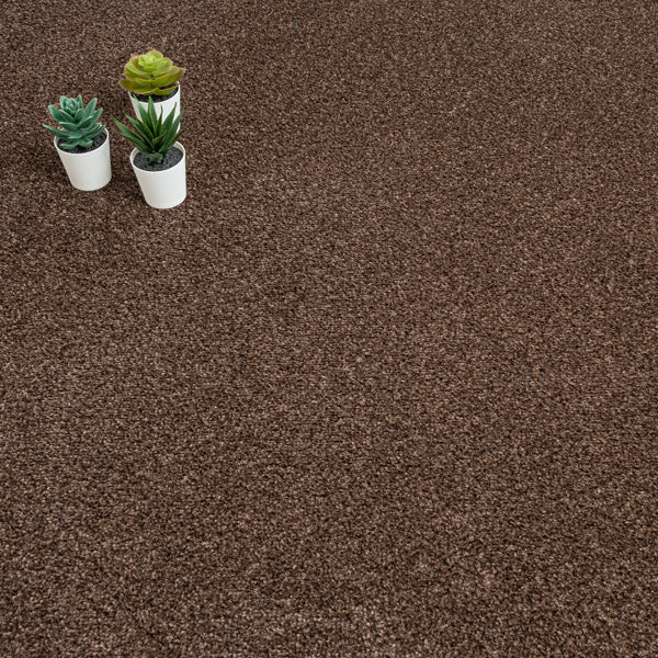 Brown Carpet | Light, Dark & Chocolate Brown Carpets | Online Carpets