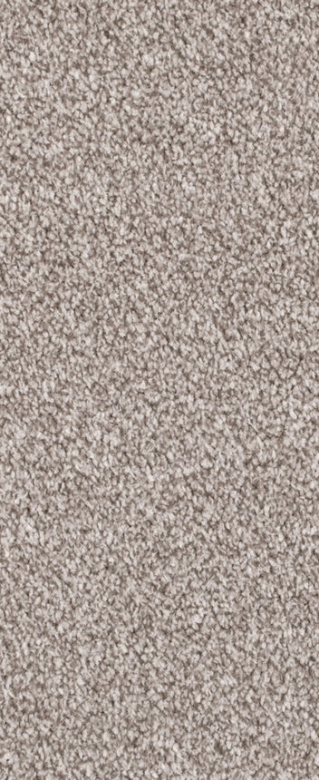 Forest Walk Apollo Plus Carpet | Buy Apollo Plus Carpets Online ...