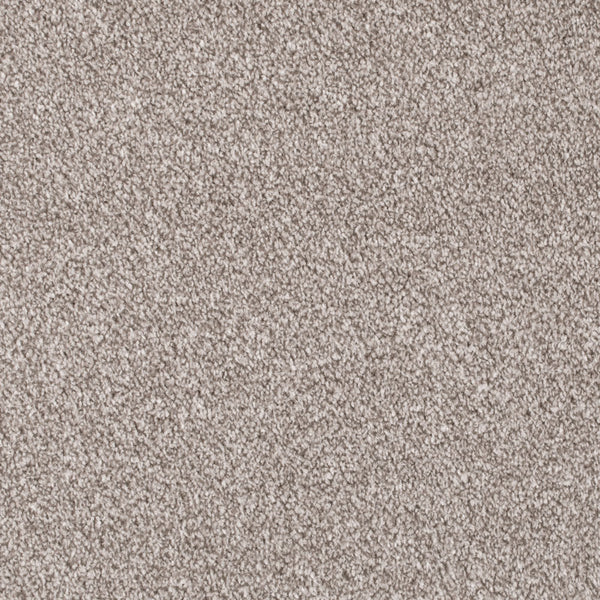 Forest Walk Apollo Plus Carpet | Buy Apollo Plus Carpets Online ...