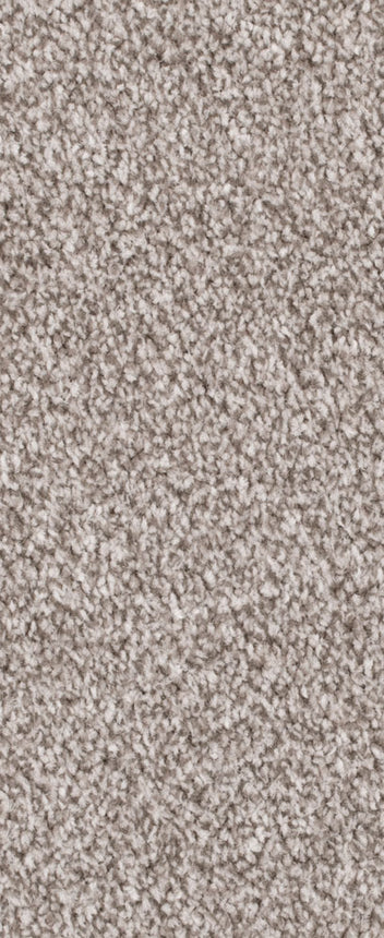 Forest Walk Apollo Plus Carpet | Buy Apollo Plus Carpets Online ...