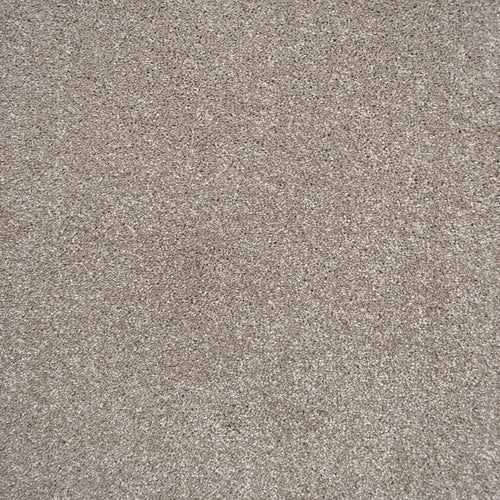 Buy Beige Carpets Online | Neutral Carpets | Online Carpets